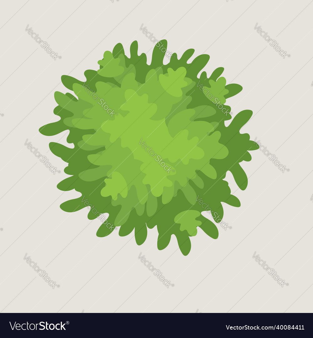 Tree crown flat design Royalty Free Vector Image