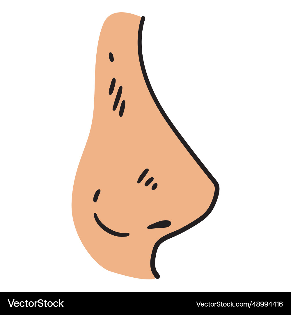 Rhinoplasty nose color stroke Royalty Free Vector Image