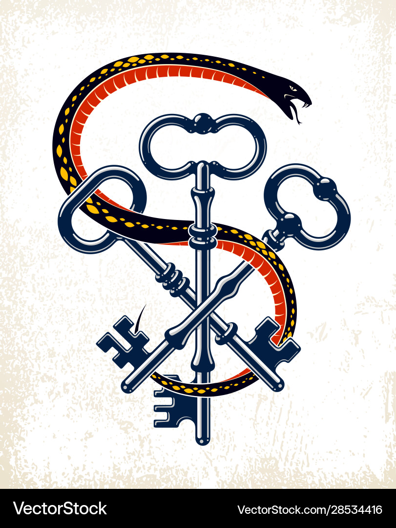 Snake wraps around vintage key protected secret Vector Image