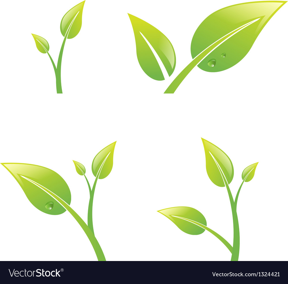 Green sprout Royalty Free Vector Image - VectorStock