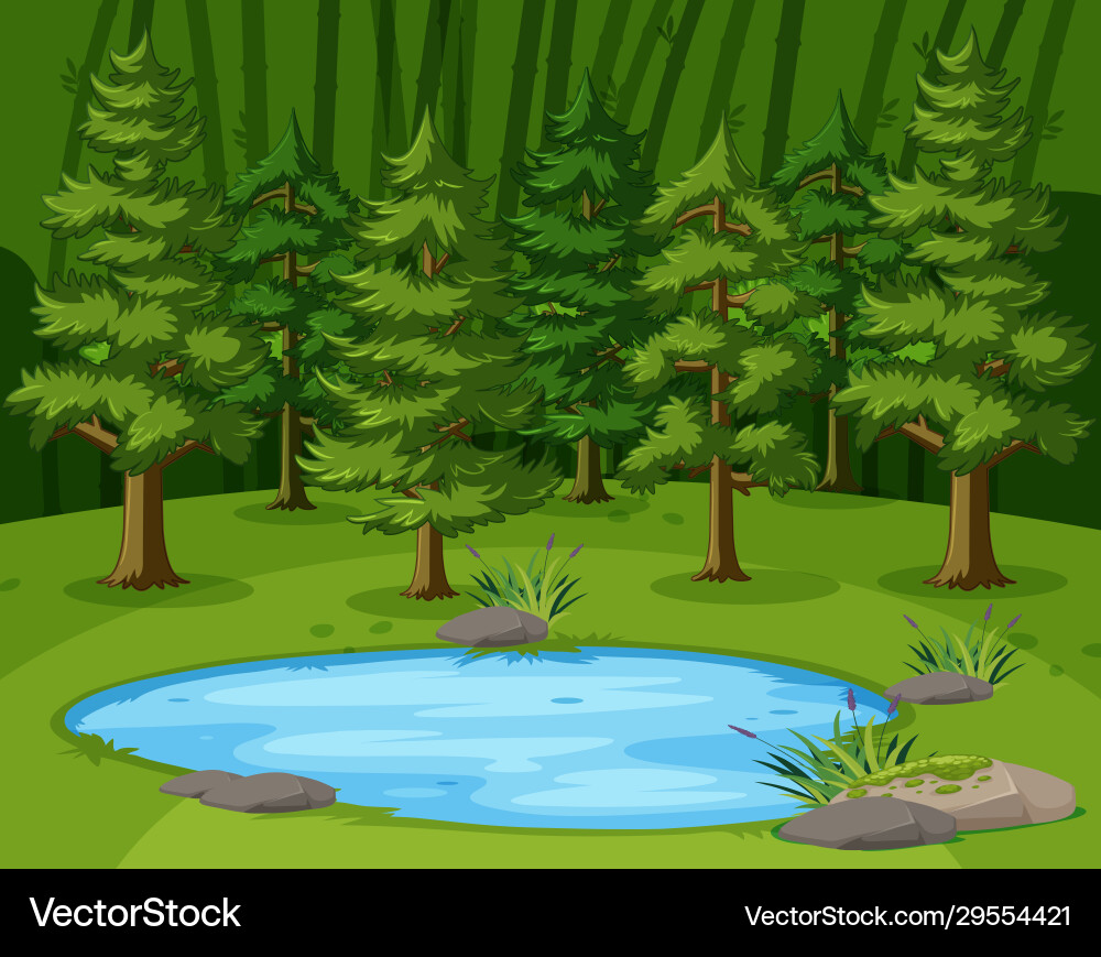 Scene with big green trees pond Royalty Free Vector Image