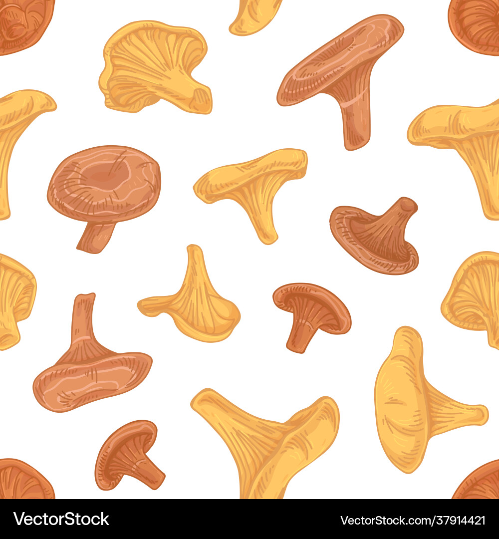 Seamless fungi pattern with chanterelles and red Vector Image