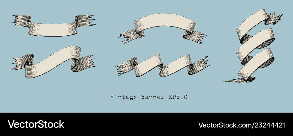 Vintage banners hand drawing engraving Royalty Free Vector
