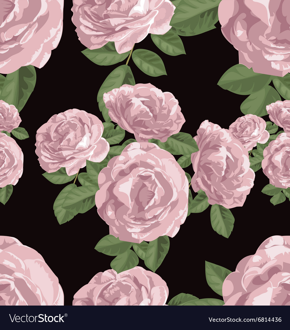 Rose Royalty Free Vector Image - VectorStock