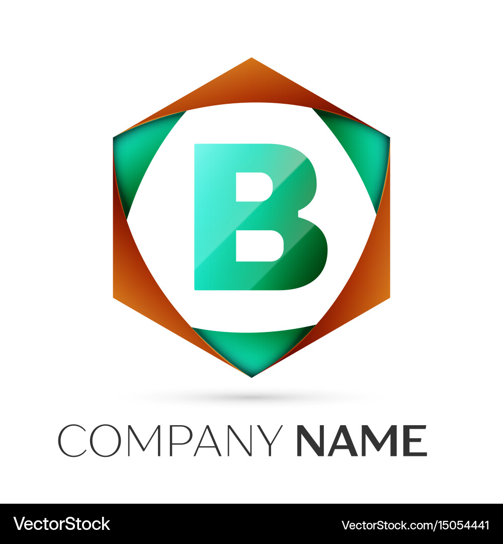 Letter b symbol in the colorful hexagonal Vector Image