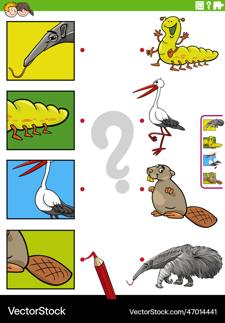 Match cartoon animals and clippings educational Vector Image