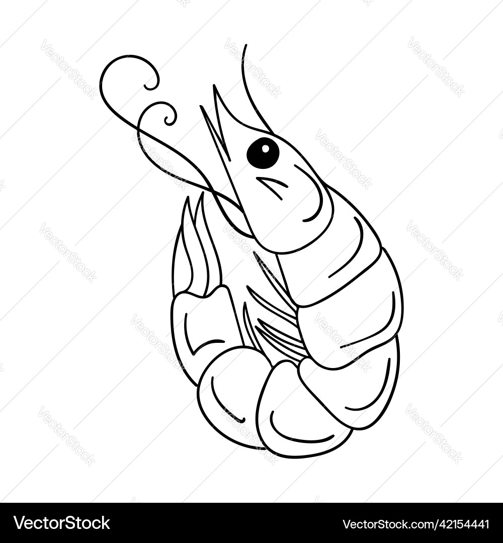 Shrimp is rolled up seafood plankton krill Vector Image