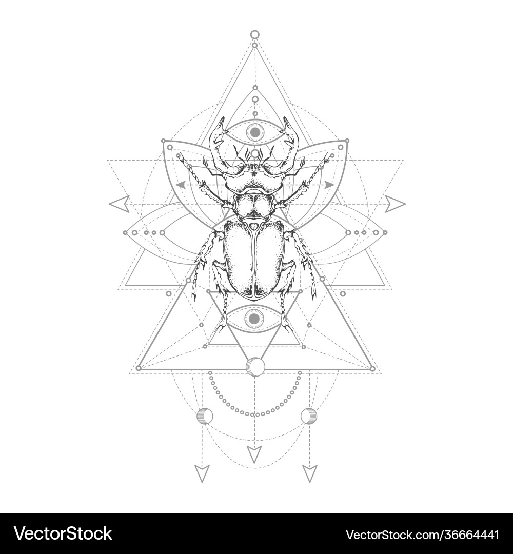 With hand drawn stag beetle and sacred geometric Vector Image