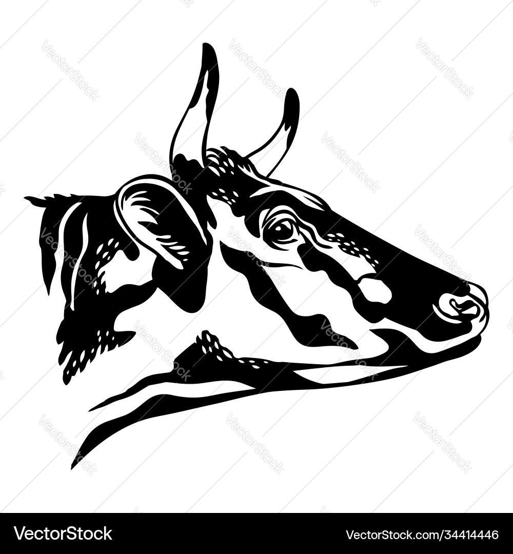 Contour portrait bull in profile Royalty Free Vector Image