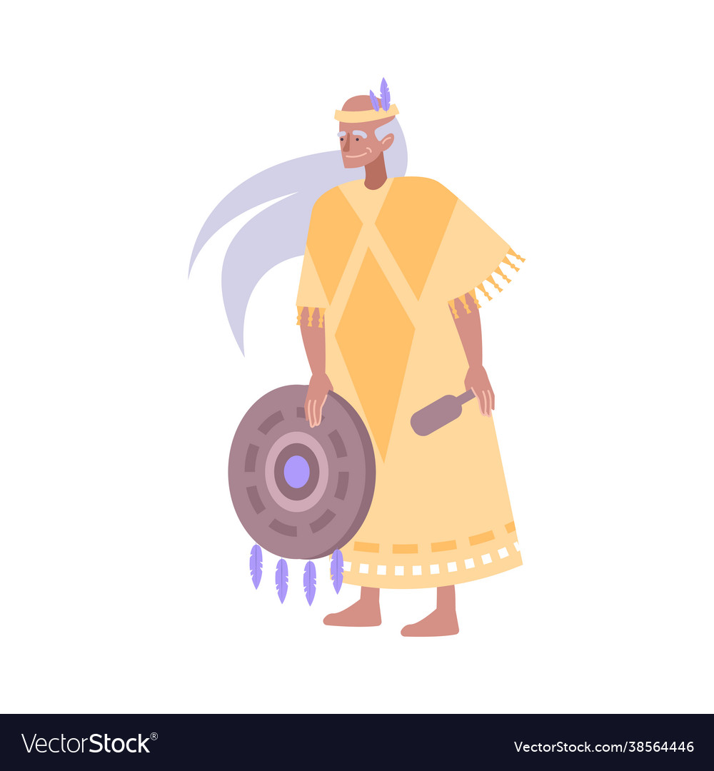 Flat shaman Royalty Free Vector Image - VectorStock