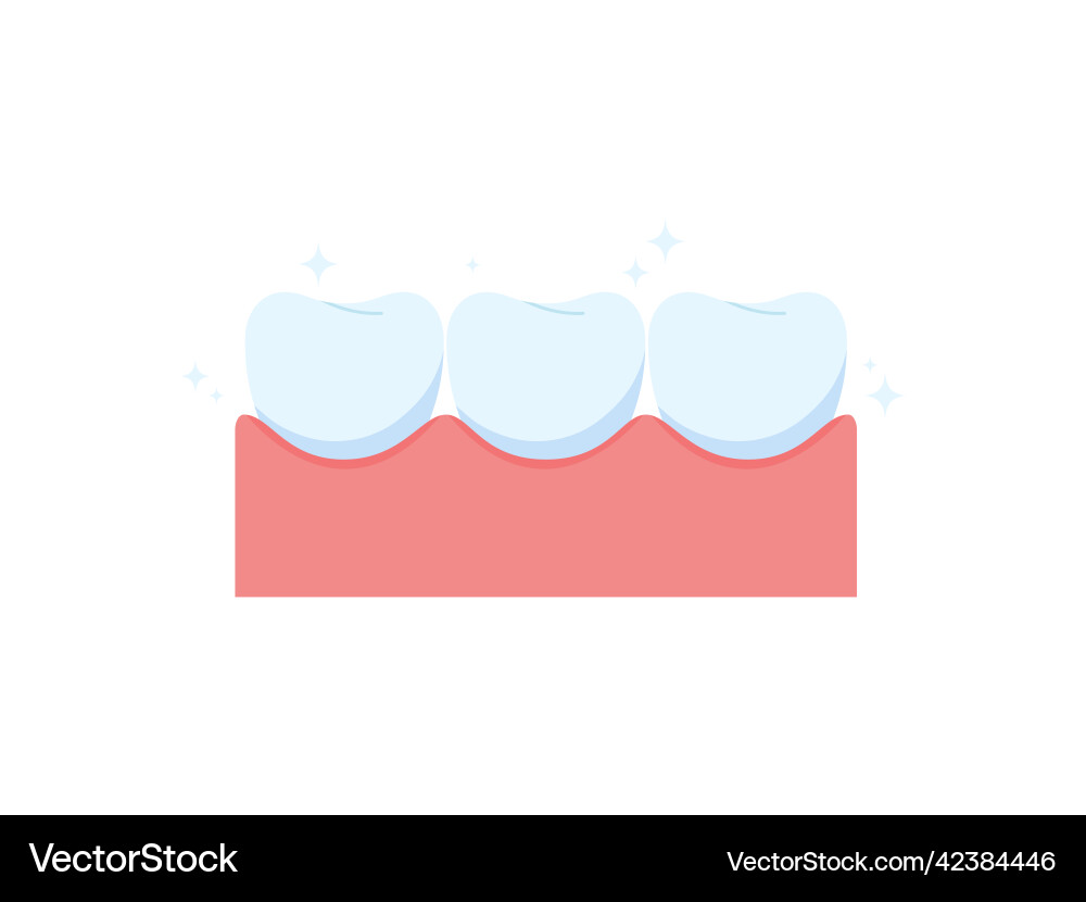 Healthy straight teeth after treatment Royalty Free Vector