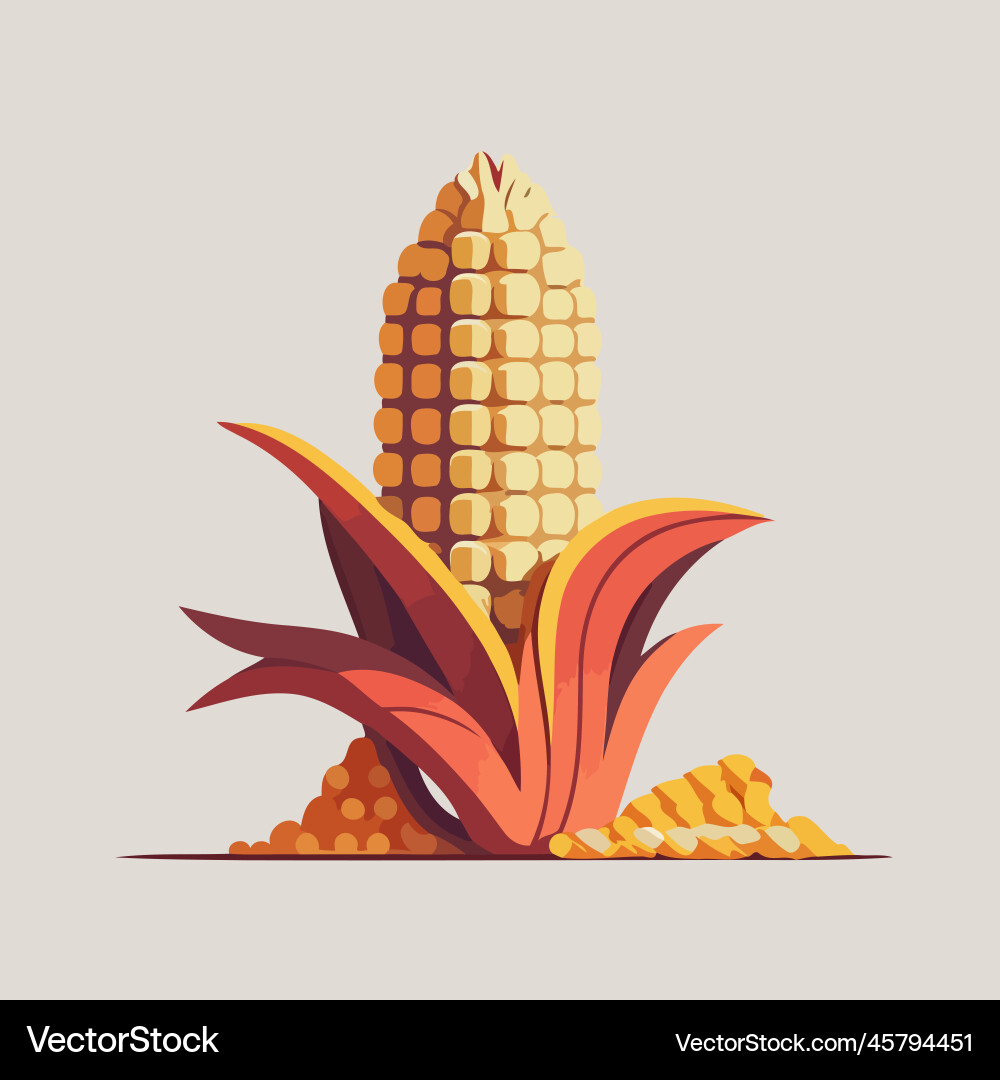 Ripe corn on the cob vegetable food Royalty Free Vector