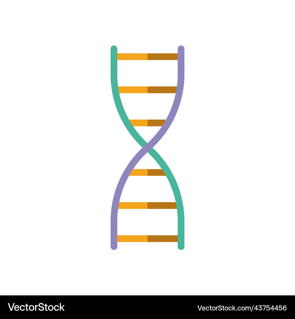 Colours dna icon on the white background Vector Image