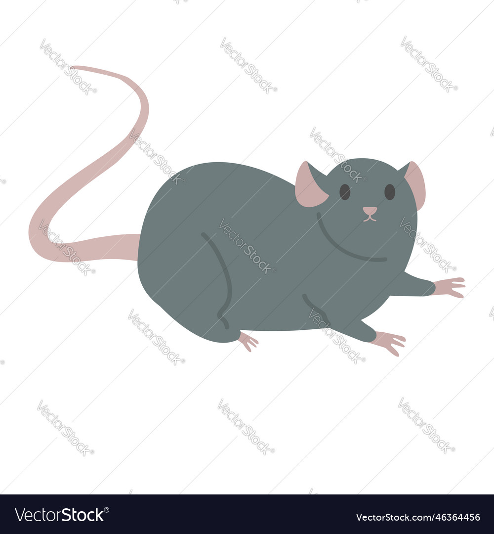 Cute rat cartoon mouse Royalty Free Vector Image Cute rat cartoon mouse Royalty Free Vector Image