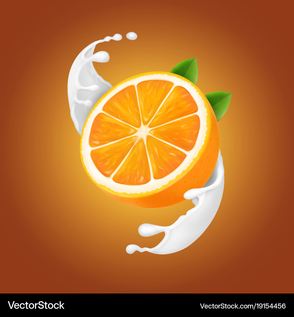Orange in a milk splash on a warm background Vector Image