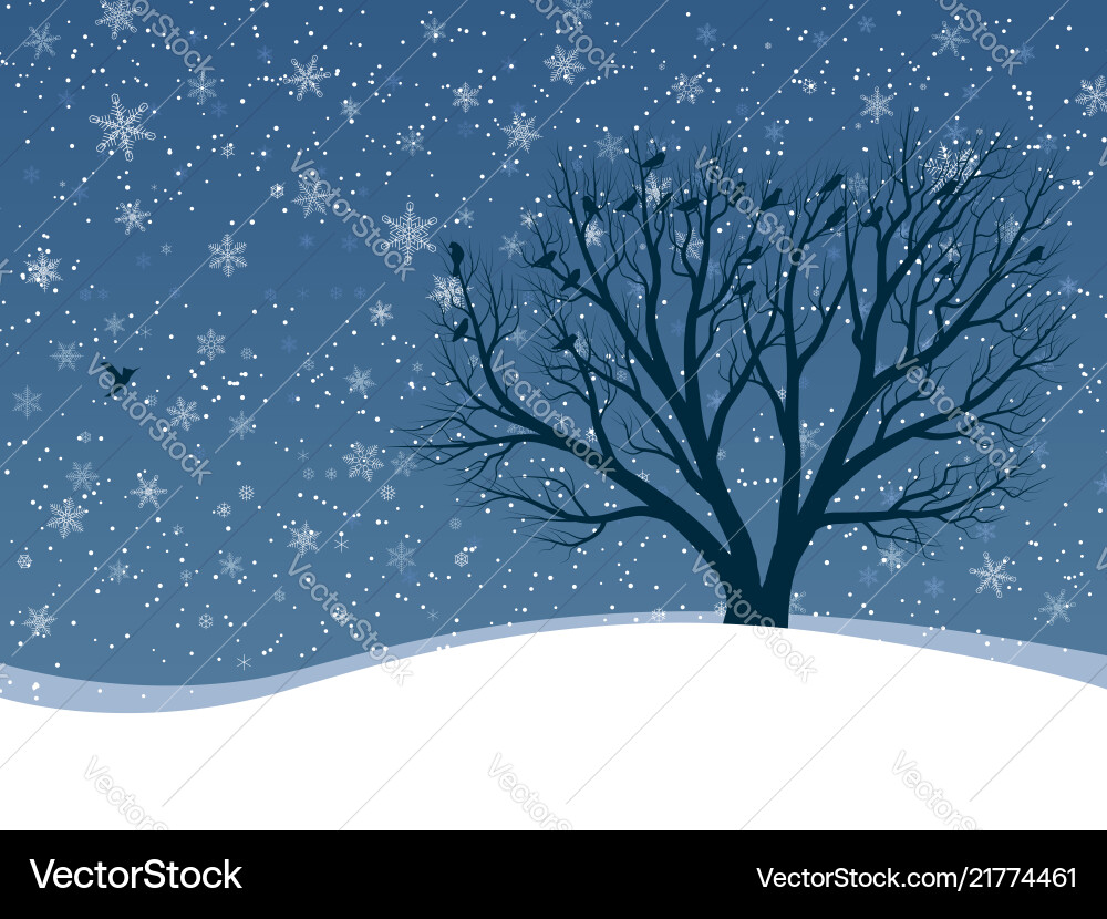 Winter card of snowfall with trees Royalty Free Vector Image