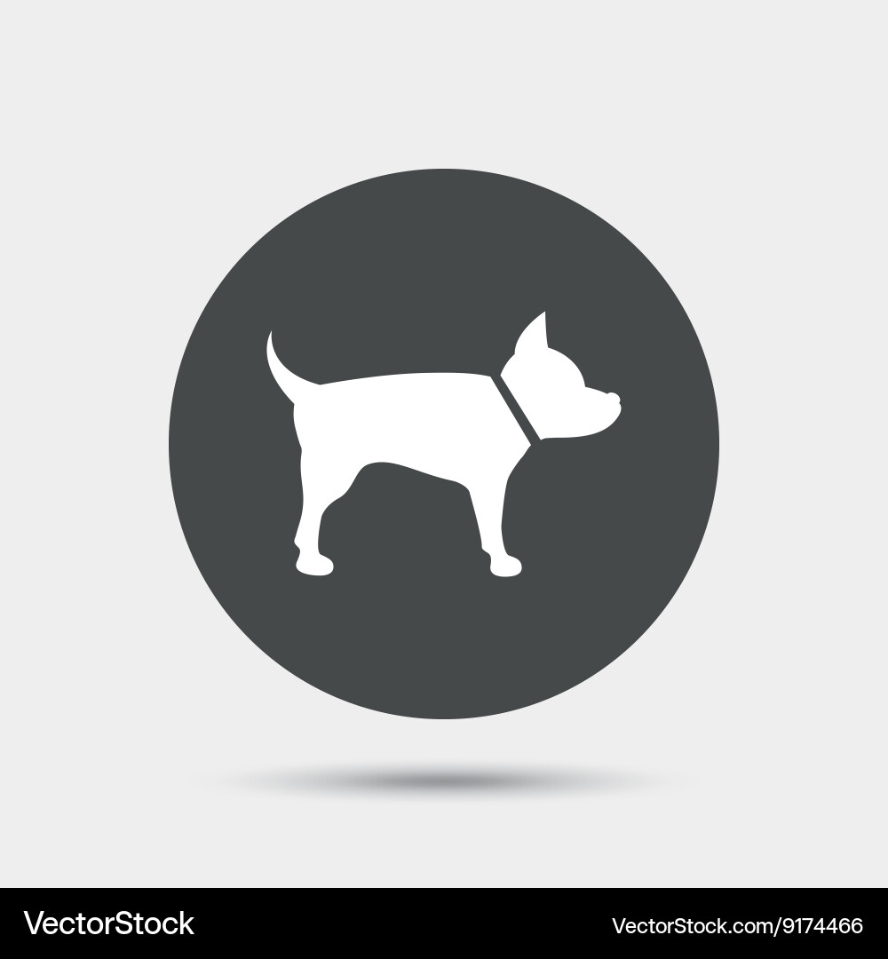 Dog sign icon pets symbol Royalty Free Vector Image