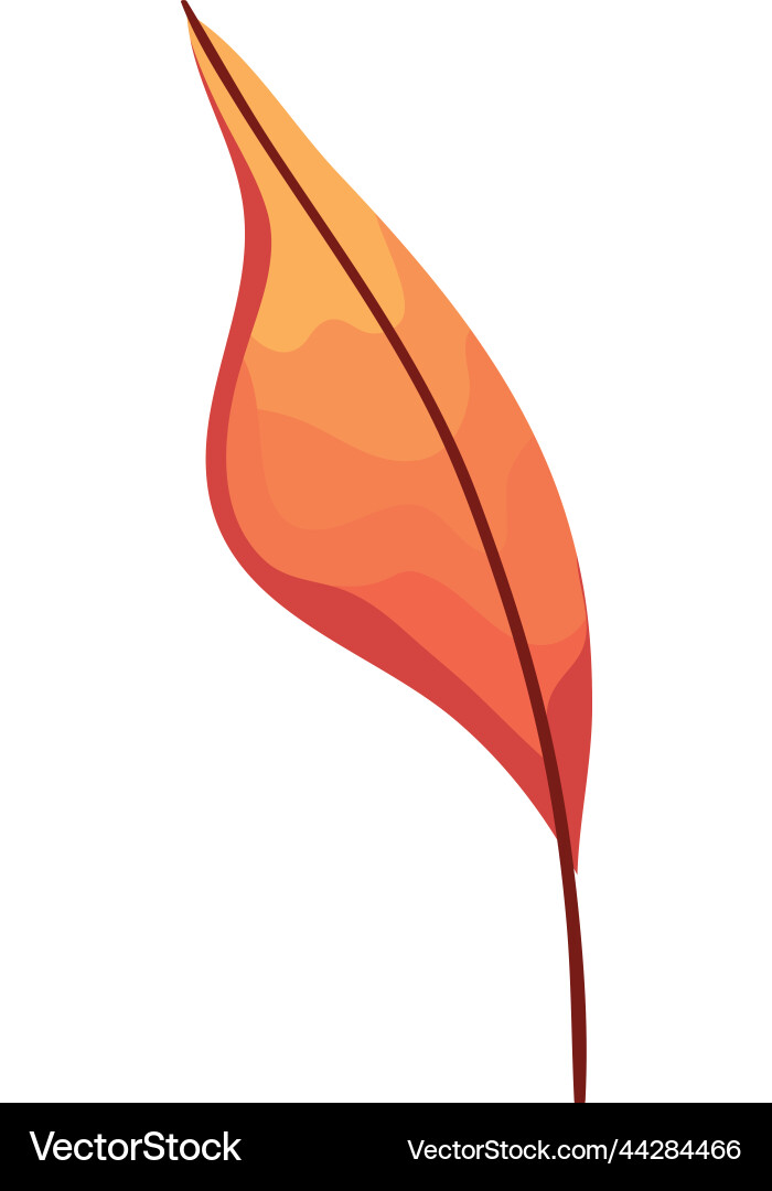 Dry autumn leaf plant foliage Royalty Free Vector Image