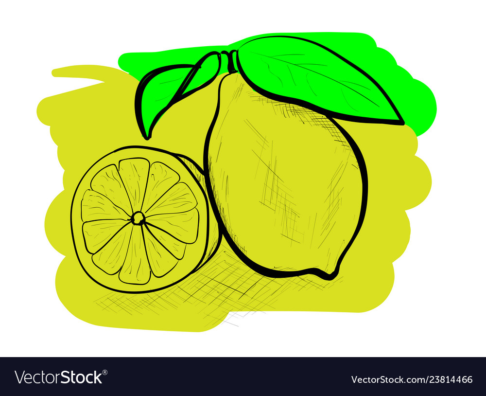 Lemon Royalty Free Vector Image - VectorStock