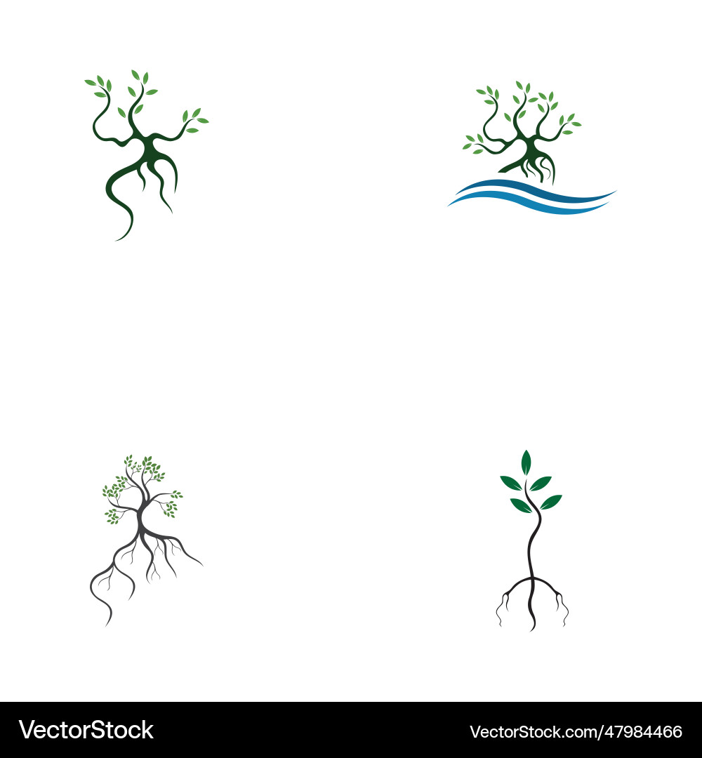 Mangrove trees and forest ecology logo Royalty Free Vector