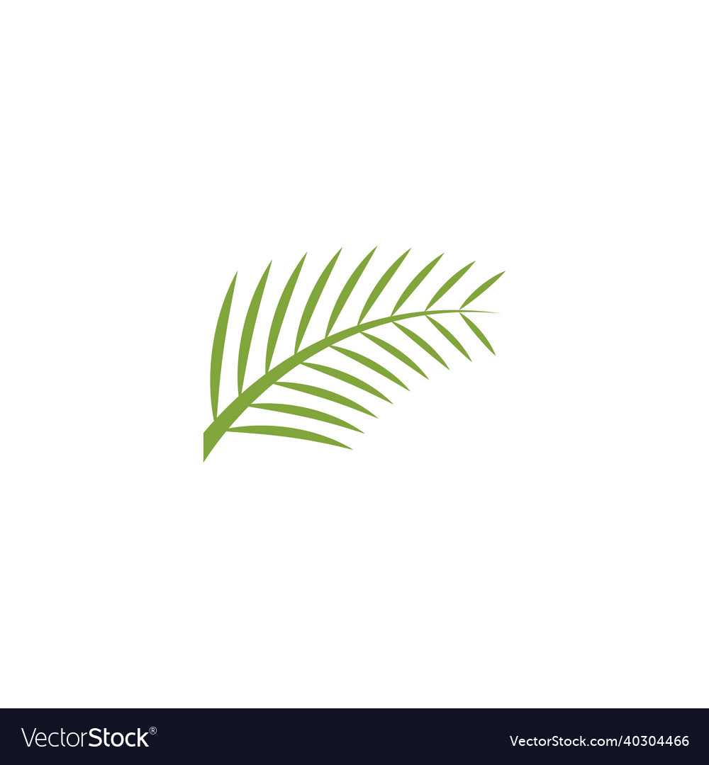 Palm tree leaf Royalty Free Vector Image - VectorStock
