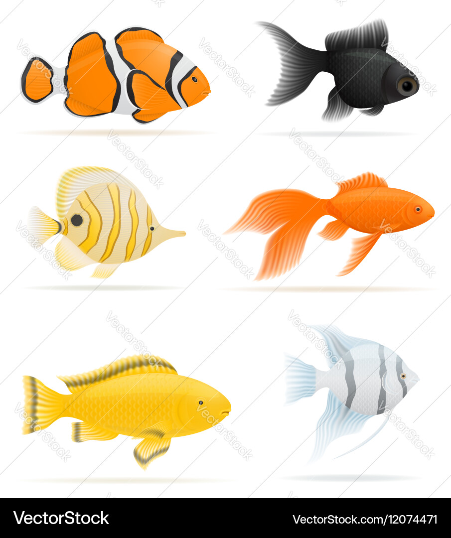 Aquarium fish 07 Royalty Free Vector Image - VectorStock