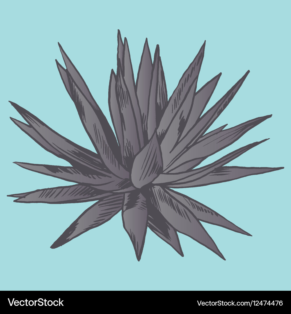 Exotic flowers set botanical vintage Royalty Free Vector