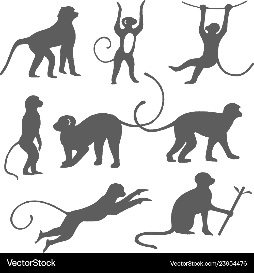 Hand drawn sketch of monkey isolated Royalty Free Vector