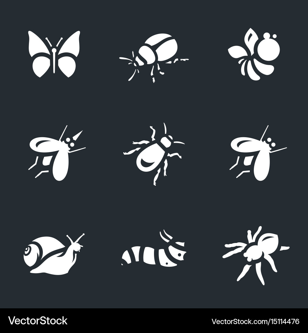 Set of various insects icons Royalty Free Vector Image