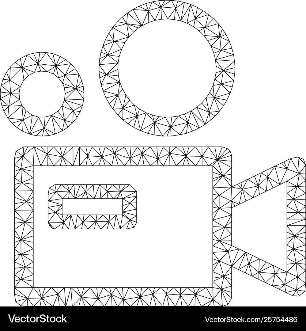 Camera polygonal frame mesh Royalty Free Vector Image