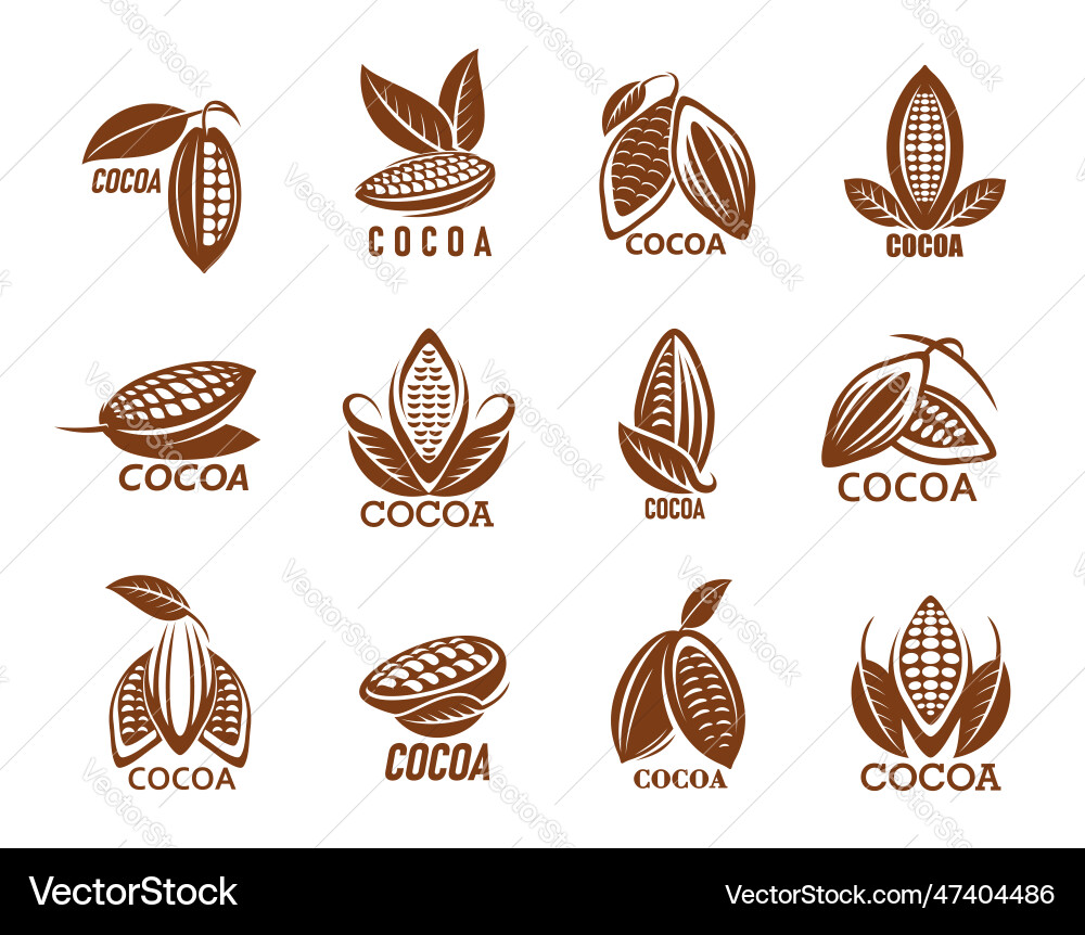 Cocoa icons cacao or chocolate beans with leaf Vector Image
