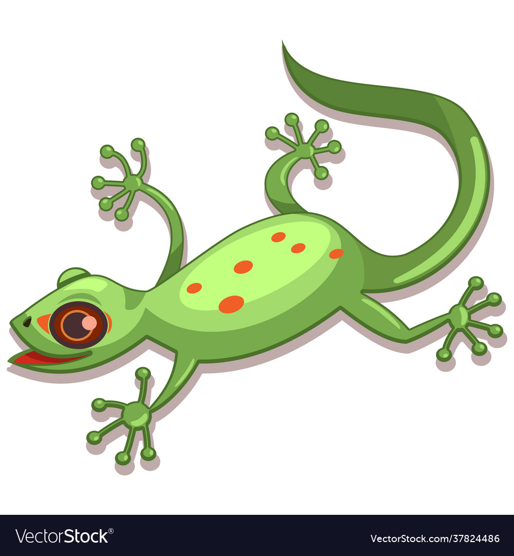 Gecko Royalty Free Vector Image - VectorStock