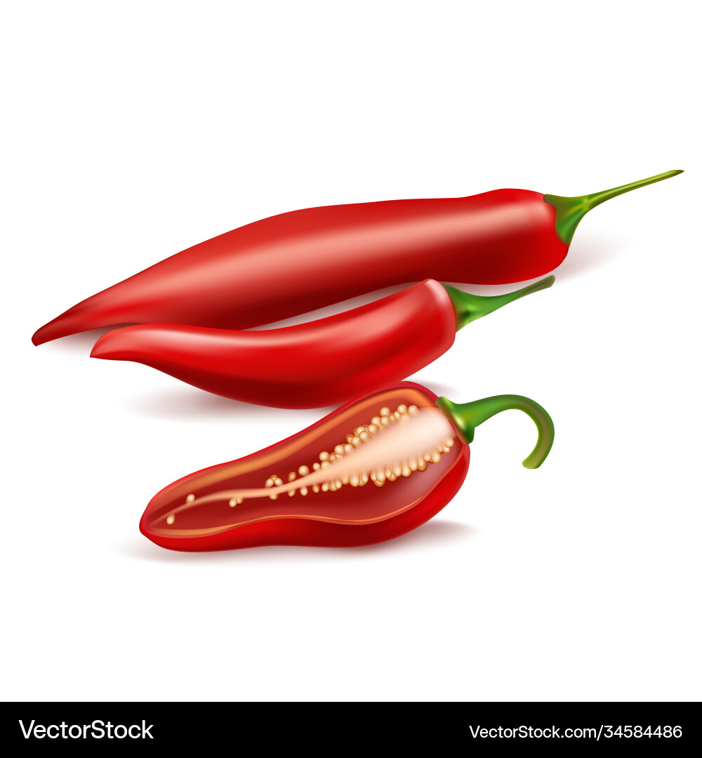 Realistic detailed 3d red chili peppers set Vector Image