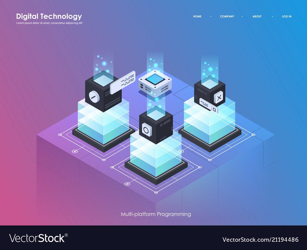 Software development and programming coding Vector Image