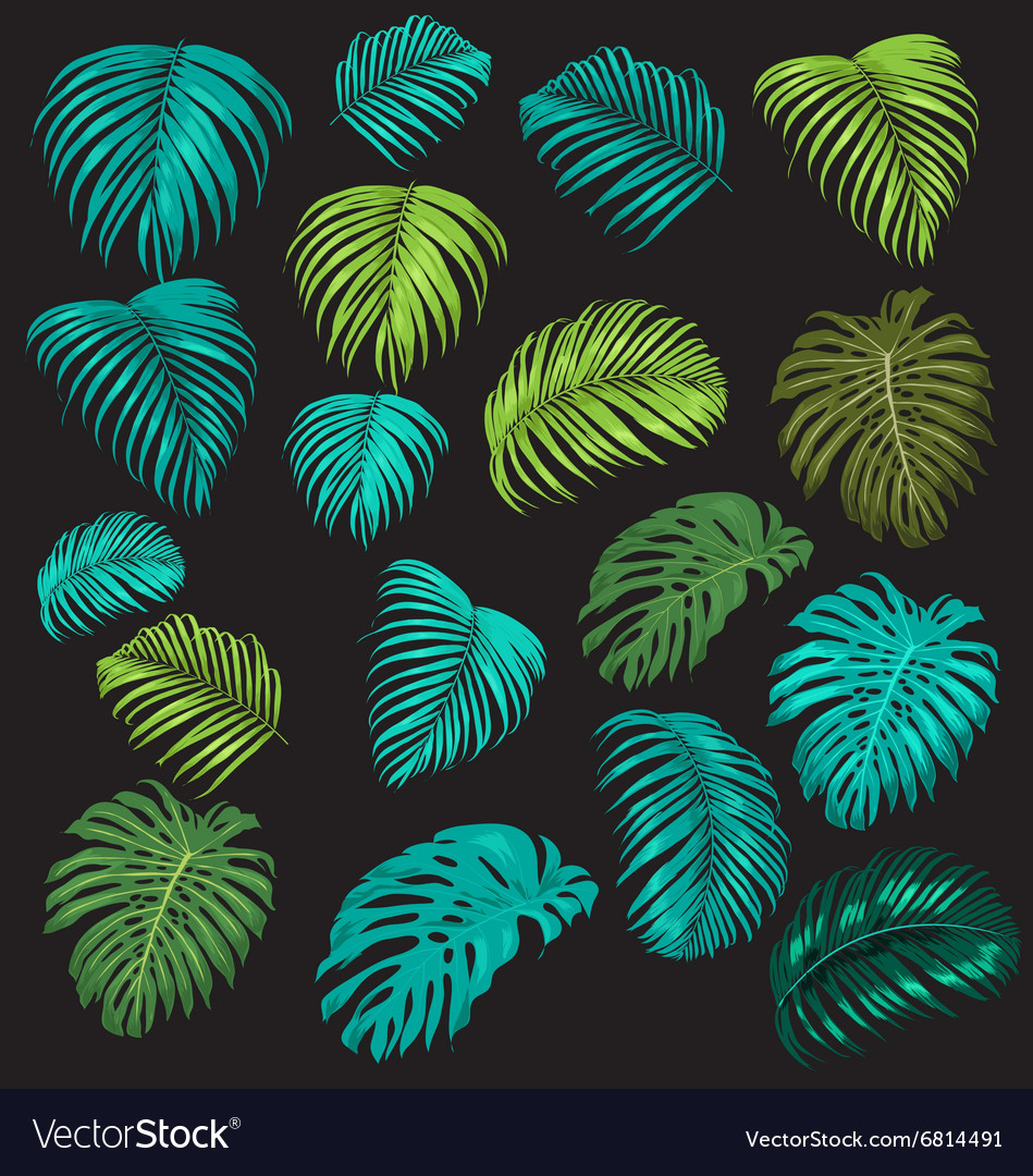 Leaf Royalty Free Vector Image - VectorStock