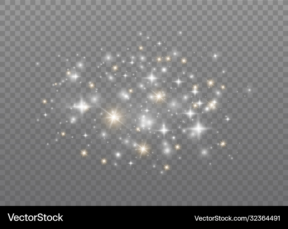 Sparkling dust particles Royalty Free Vector Image