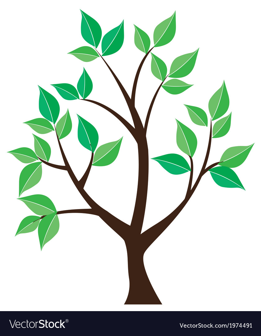 Tree Royalty Free Vector Image - VectorStock