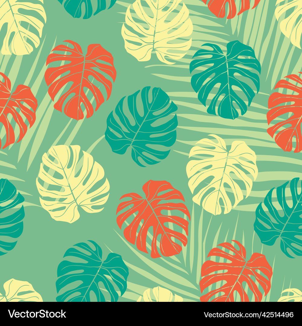 Beautiful tropical monstera leaves Royalty Free Vector Image