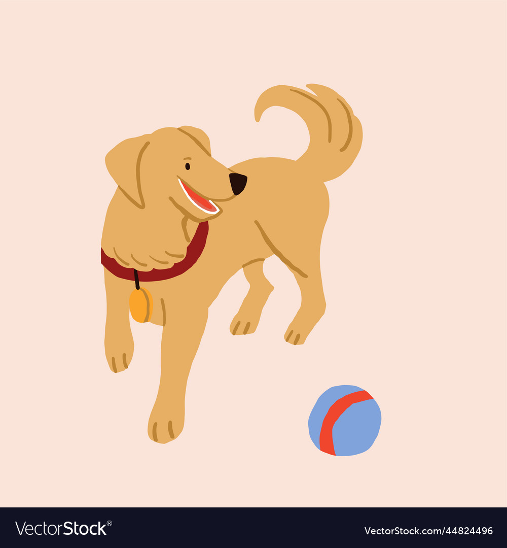 Playful dog with the ball domestic Royalty Free Vector Image