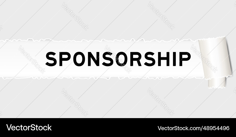 Ripped gray paper background that have word Vector Image