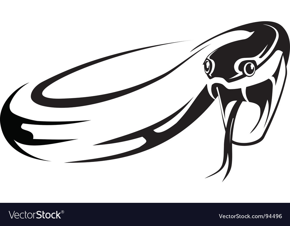 Snake Royalty Free Vector Image - VectorStock