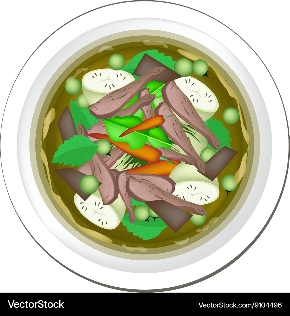 Thai green curry with beef and green eggplant Vector Image