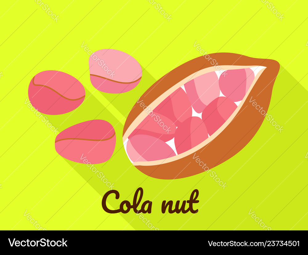 Cola nut icon flat style Royalty Free Vector Image