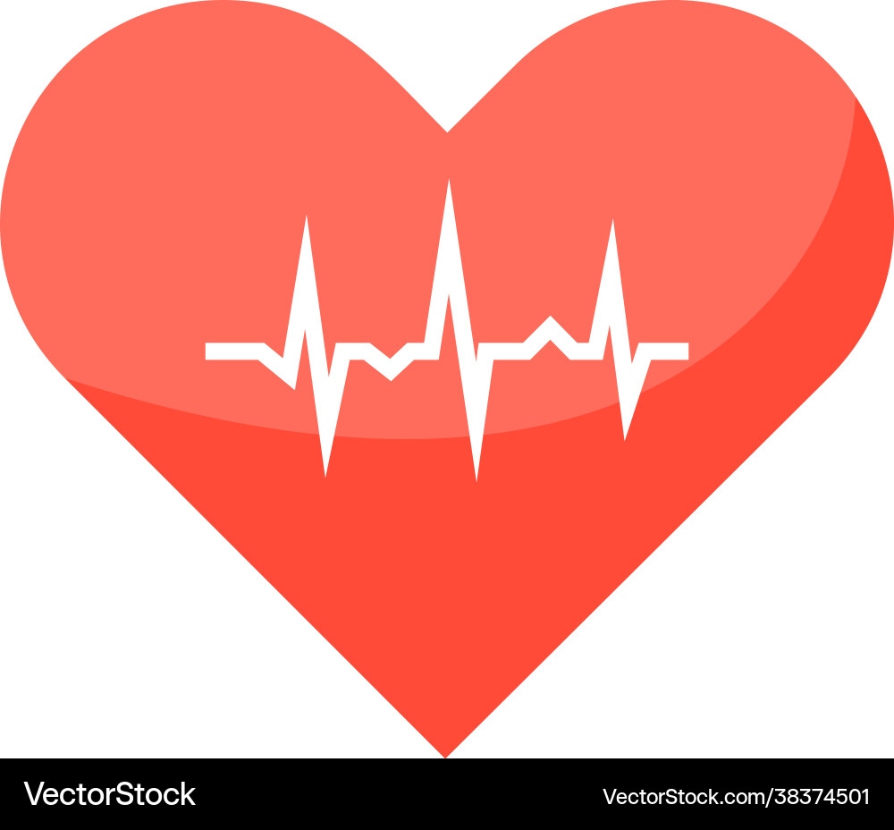 Isolated heart icon with cardiogram on white Vector Image