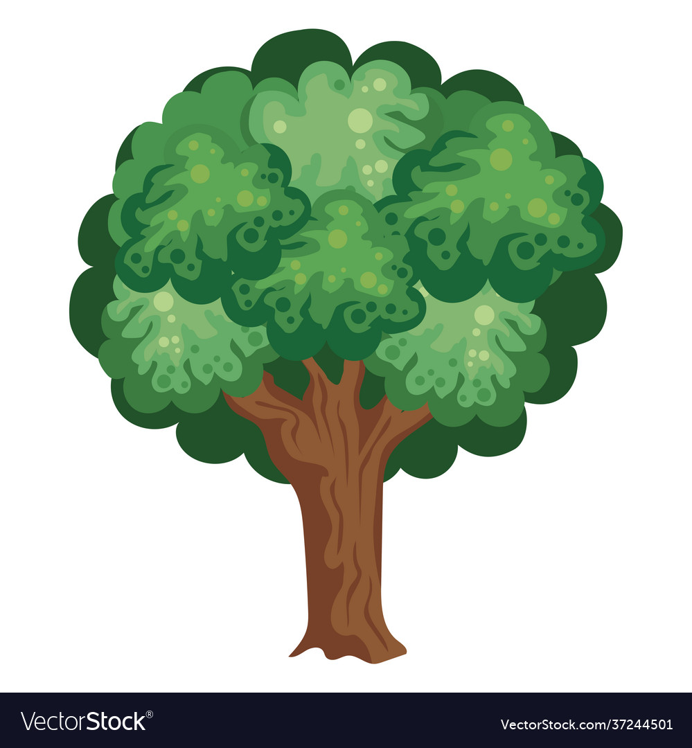 Spring tree plant Royalty Free Vector Image - VectorStock