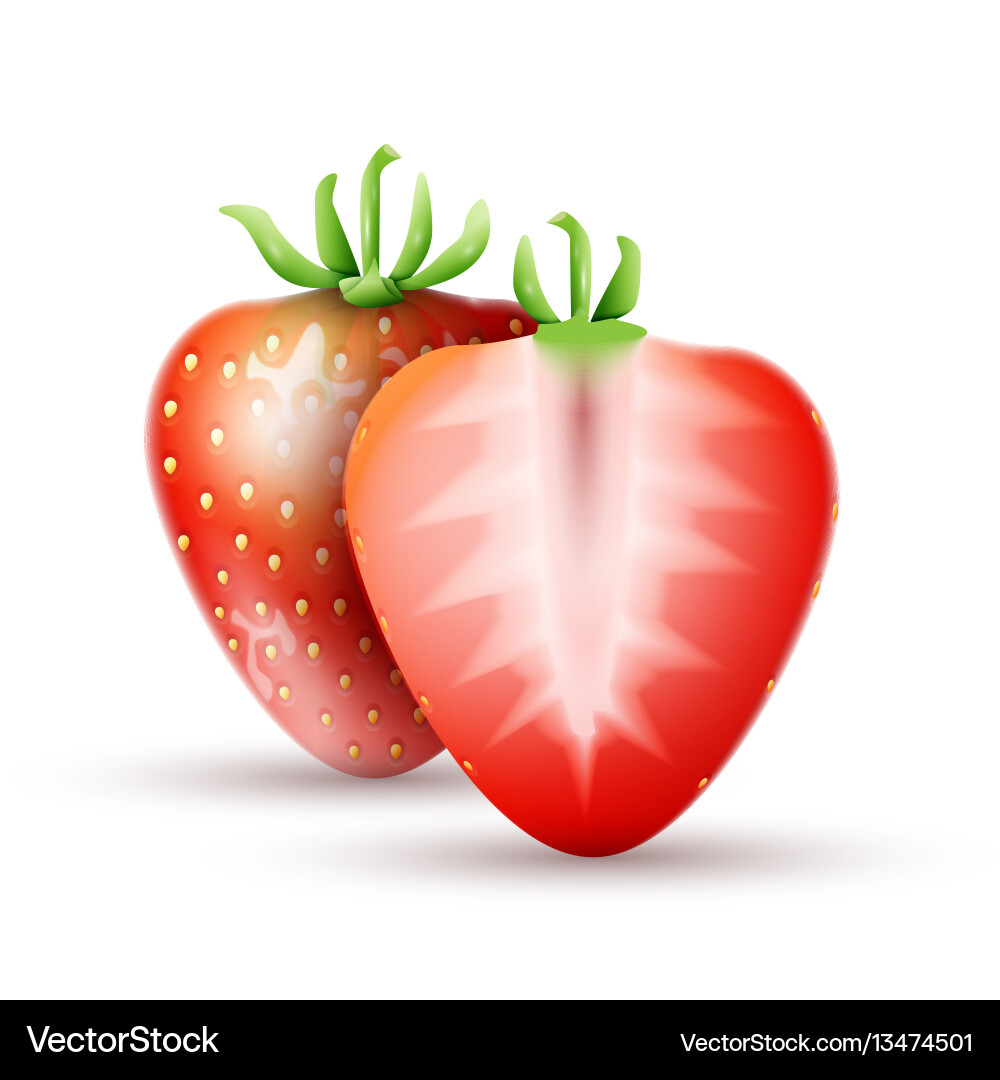 Whole strawberry and a half strawberry Royalty Free Vector