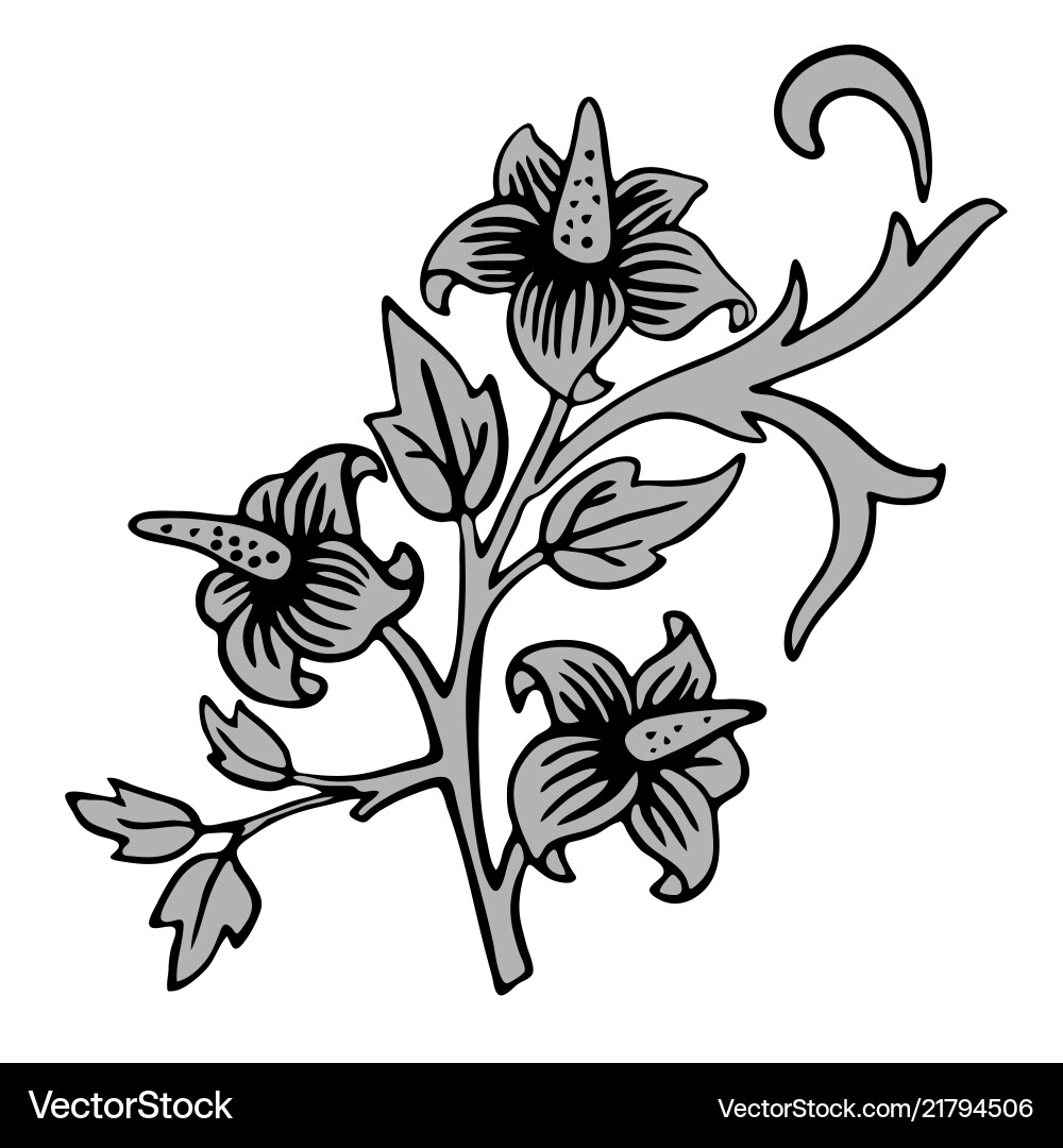 Vintage victorian floral elements in black Vector Image