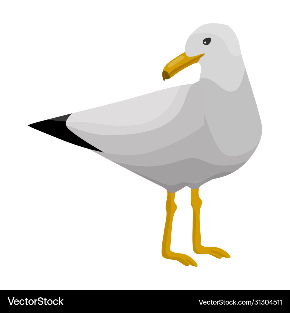 Bird gull iconcartoon icon isolated Royalty Free Vector