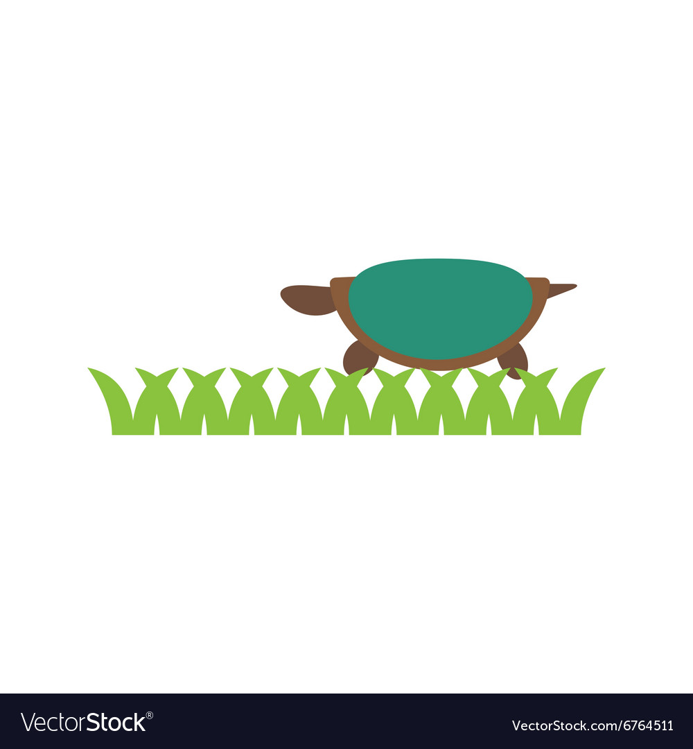 Flat icon on white background ocean turtle Vector Image