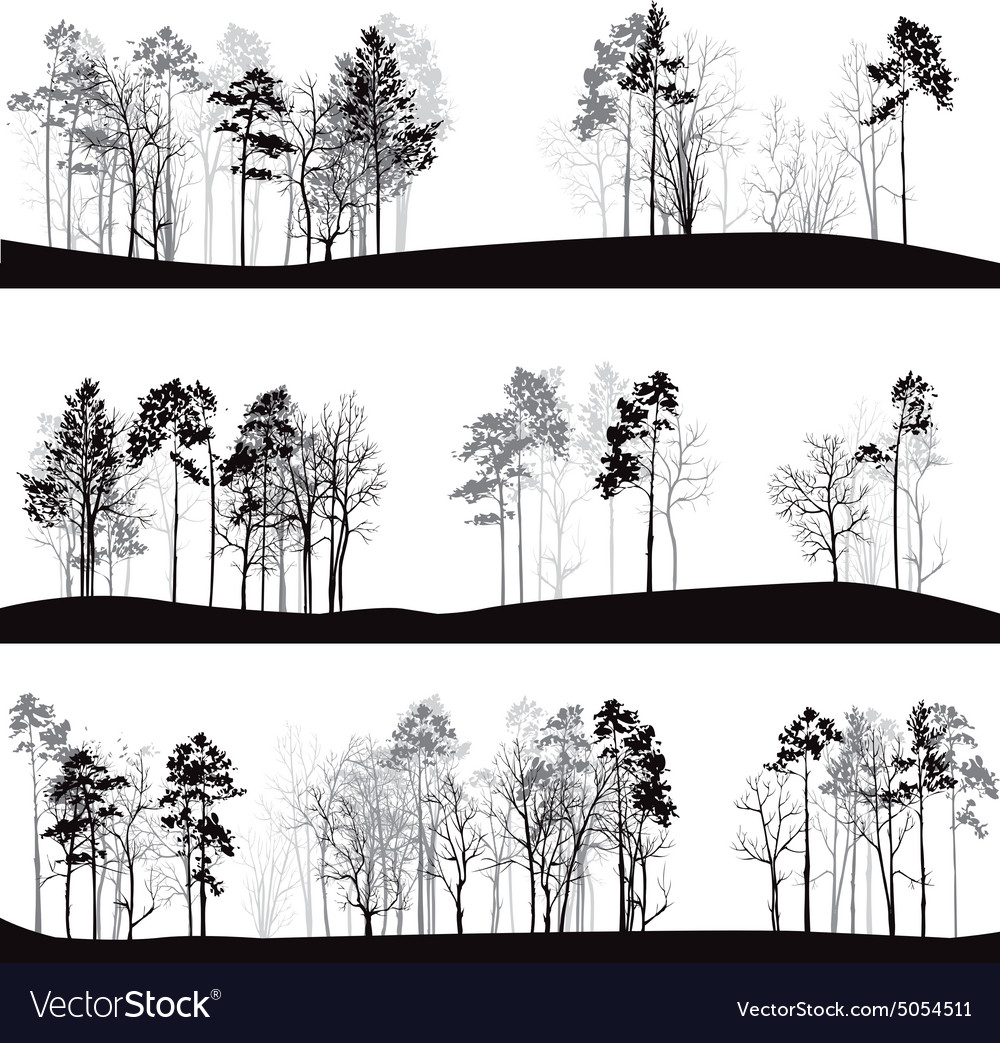 Set of different landscapes with pine trees Vector Image